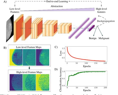 Figure 1 From Convolutional Neural Networks For Breast Cancer Detection