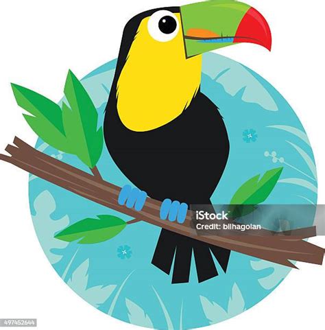 큰부리새 건조클립예술직 0명에 대한 스톡 벡터 아트 및 기타 이미지 0명 2015년 귀여운 Istock