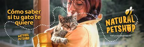 Cómo saber si tu gato te quiere