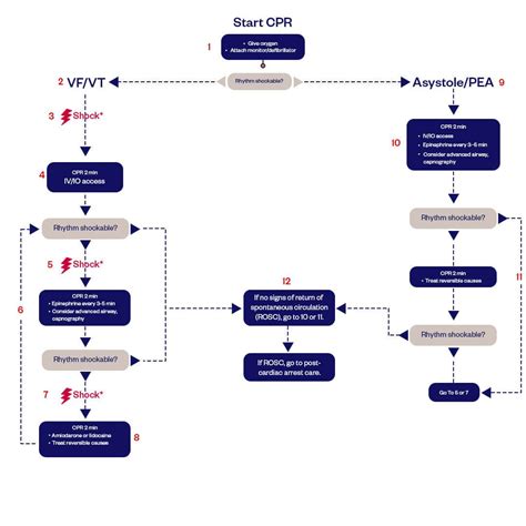 Acls Algorithm Guide Simplify Life Saving Techniques