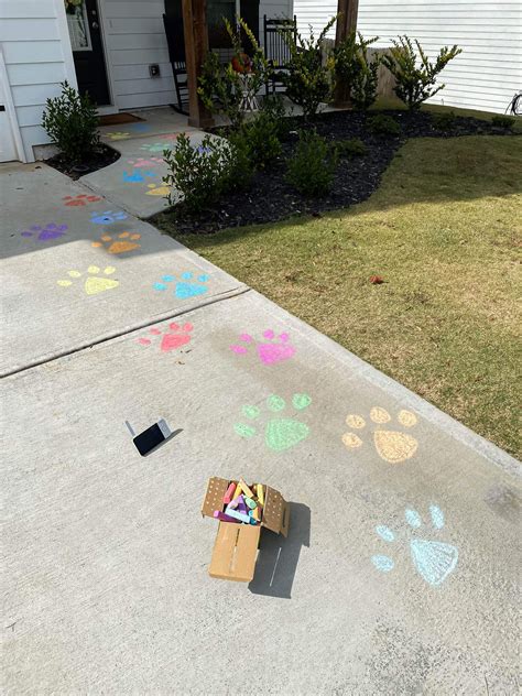 Paw Patrol Themed Birthday Party Paw Patrol Birthday Decorations Paw