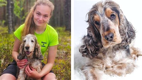 Här Hittar Sune Försvunna Hunden Efter Sex Dygn Hund Extra