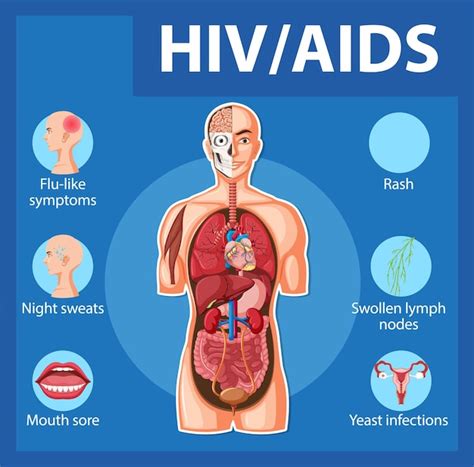Premium Vector Hivaids Virus Effects On Human Immune System