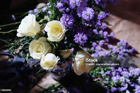 しわくちゃの茶色の紙テクスチャ背景に紫のマルグリットのデイジーの花 くしゃくしゃのストックフォトや画像を多数ご用意 くしゃくしゃ