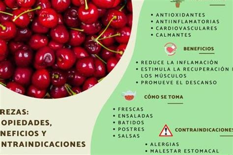 Descubre Las Propiedades Beneficios Y Contraindicaciones De Las