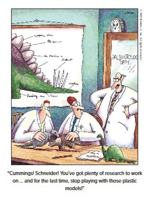 Cummings Schneider R Thefarside
