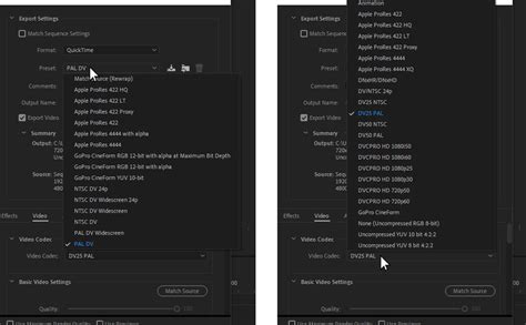 Quicktime Png Codec 10 Free Cliparts Download Images On Clipground 2025