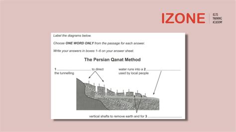 dạng bài Reading IELTS thường gặp và những lưu ý khi làm bài