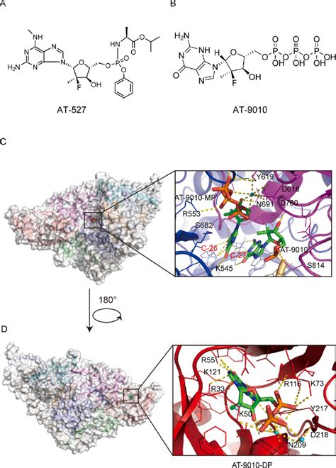 Cryo Em Structure Of At 9010 Bound To The Rdrp Complex Of Sarscov 2