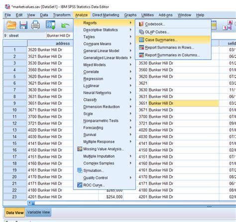 Case Summary Analysis With Ibm Spss