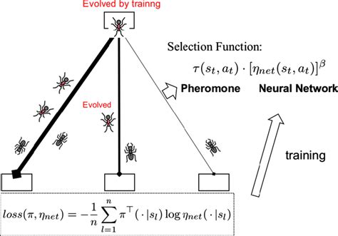 evolved ants by trained neural networks for simplicity p aco is used