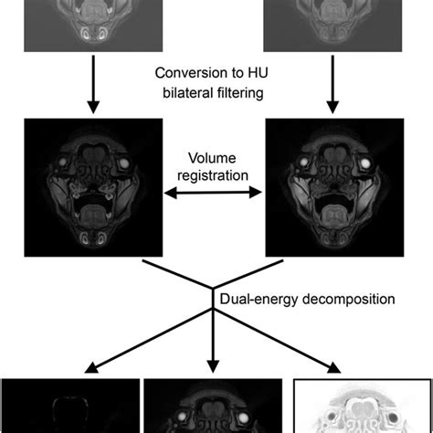 workflow for microscopic dual energy ct microdect imaging and