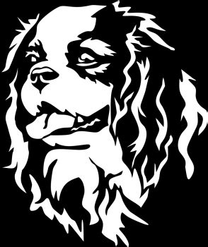 Autoaufkleber Folienaufkleber Cavalier King Charles Spaniel Kopf