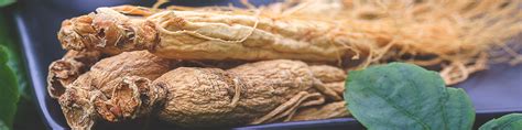 9 Health Benefits From Ginseng Bens Natural Health