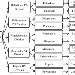 Multistage Sampling Procedure Download Scientific Diagram