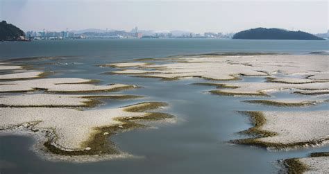 베스트갤러리 눈 내린 겨울바다