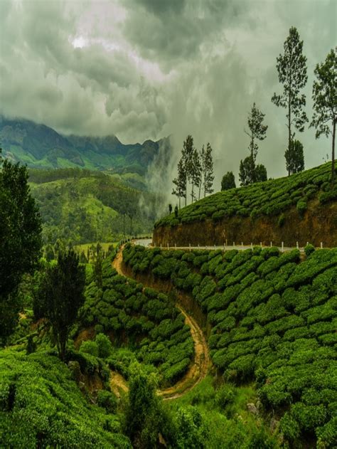 Imd Releases Monsoon Update Onset Of Southwest Monsoon In Parts Of India