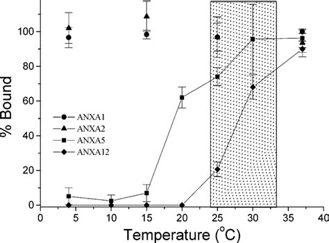Annexin Binding To Lipids At The Phase Transition Temperature