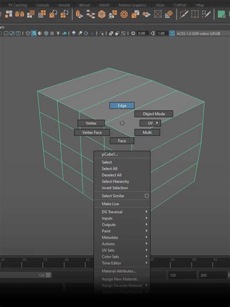 Maya Course Kwik L