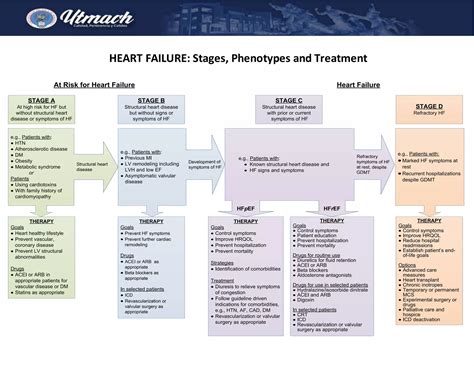 Heart Failure Algorithm Docx