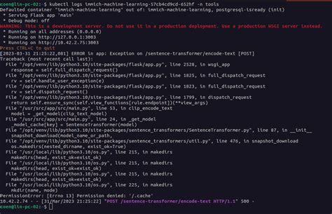 Valueerror Incorrect Path Or Url Urls Must Start With `` Or `` Immich