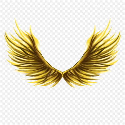 Wings Png Angel Wings Png Angel Png Memorial Png Png 40 Off
