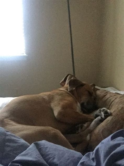 Digging Is Hard Work Raww