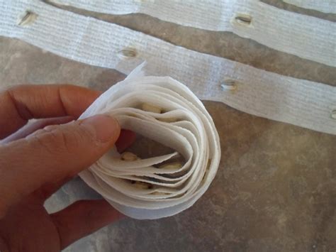 Autumn In Oklahoma Making Perfect Garden Rows Indoors