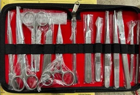 Stainless Steel Dissection Kit Set Medium At Best Price In Jalandhar