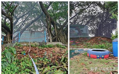 一起领略8号艺术晒谷场 全息投影 知乎