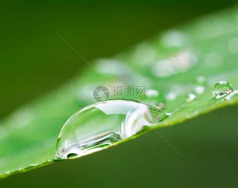 水滴插画图片下载 正版图片503430465 摄图网