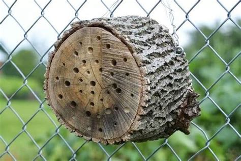 20 Diy Bug Hotel Ideas For Your Garden