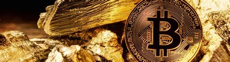 Bitcoin A Store Of Value Success Analytics