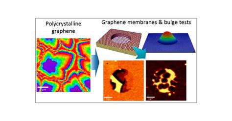 Impact Of Grain Boundaries On The Elastic Behavior Of Transferred Polycrystalline Graphene