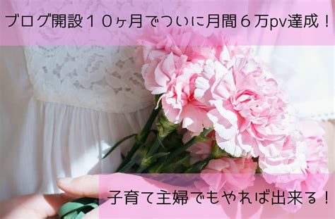 ブログ開設10ヶ月でついに月間6万pv達成！子育て主婦でもやれば出来る！ ママベビねっと