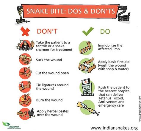 How To Deal With A Snakebite While Out On The Trail Snake Bites