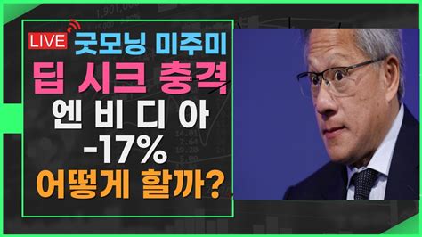 굿모닝 미주미 설 연휴 딥시크 충격 엔비디아 사상최대폭 급락 어떻게 할까 월가의 시각은 이항영 미주미 Youtube