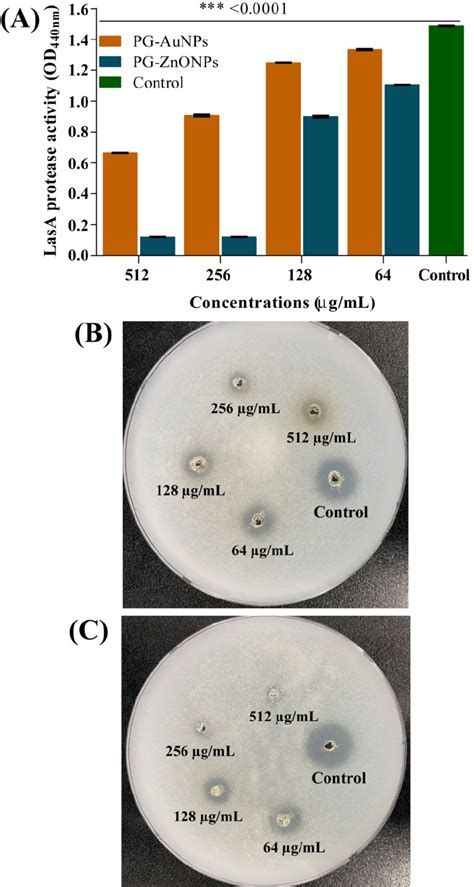 Protease Inhibitory Effect Of Pg Aunps And Pg Znonps Towards P