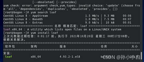 linux实训 使用rpm查询lsof命令是否被安装 CSDN博客