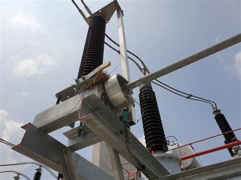 The Bird S Nest Is On The Base Of 115kv Earthing Switch Stock Image