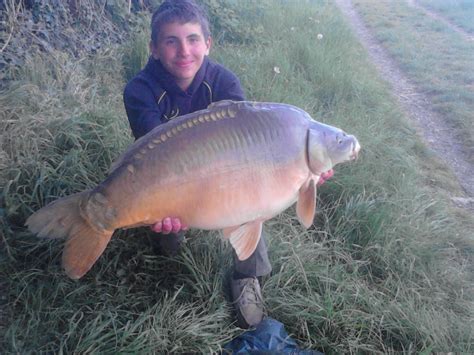 Comment sélection les plus grosses carpes