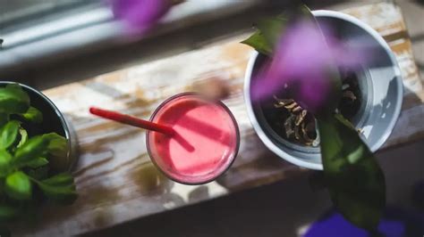 What Are Probiotics For Bacterial Vaginosis Benefits And Uses Feminine