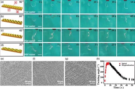 Controllable Actuation Of Stripe‐patterned Heterogeneous Pnipamac3