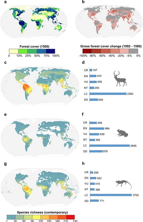 Overview Of Global Forest Cover Change And Forest Dwelling Vertebrate