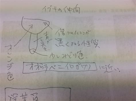 特別展「きのこ！キノコ！木の子！〜きのこから眺める自然と暮らし〜」 Prader Willi症候群の情報のメモ