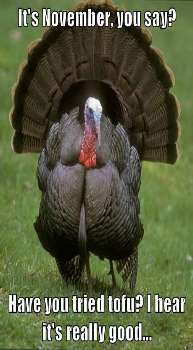 I Hear Thats What They Had On The First Thanksgiving Hunting