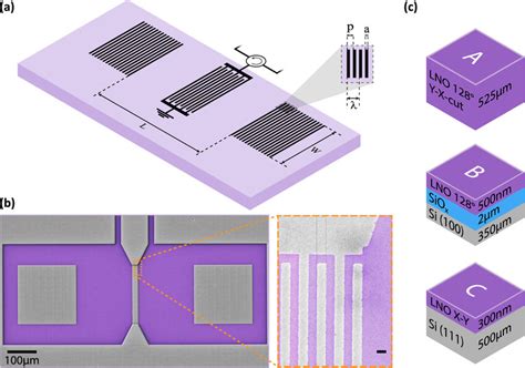 A Schematic Illustration Of The Surface Acoustic Wave Resonator And
