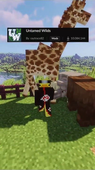 Mods Que Voce Precisa Ter No Minecraft Shorts Youtube
