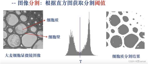 图像识别与处理学习笔记（一） 入门直方图基础概念与图像增强图像识别领域入门学习 Csdn博客