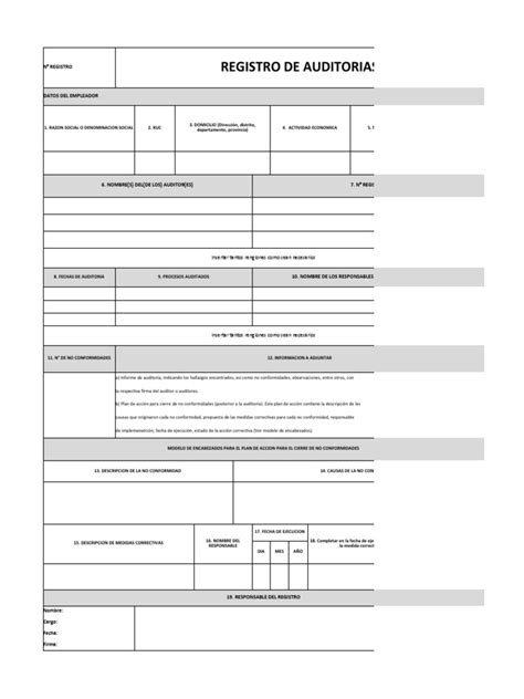 Ejemplo Formato De Registro De Auditorias Pdf